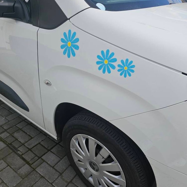 Daisy Car Decal Set: Bumper, Window, Toybox Stickers - Etsy