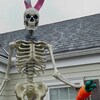 12 Ft Skeleton Pirate Costume!!!! (skelleton Not Included) - Etsy