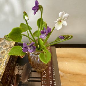 Violet Flower Artificial Plant Realistic Flowers Wild Violets Clay ...