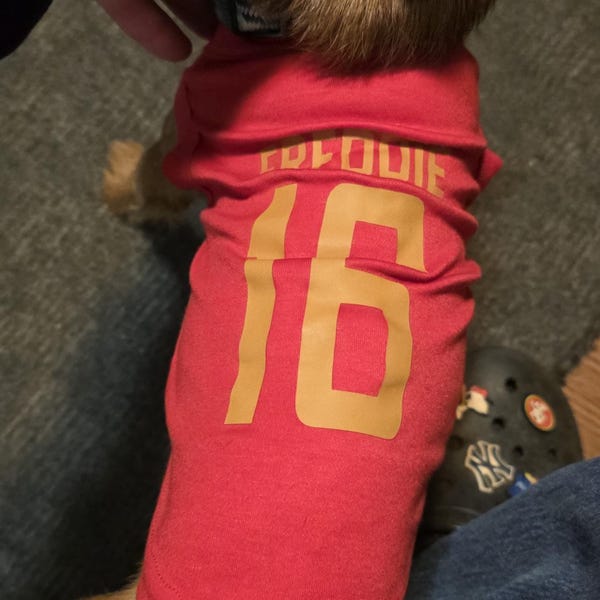 Custom Sports Dog Jersey - Personalized Dog Shirt With Name & Number ...