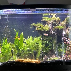 2-4 Gallon Nano Aquascape Decor SOUL CANYON Aquarium Dragon Rocks ...