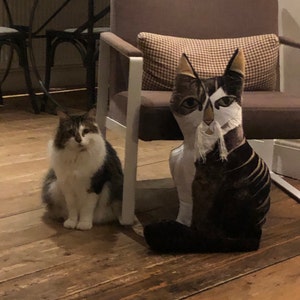 Quality Pet Custom Cat Commission .unique Gift Personalised Just Send ...