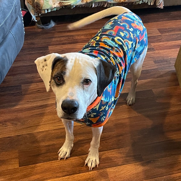 Alien UFO Raglan Dog Pajamas, Lightweight Polyspandex With Sleeves ...