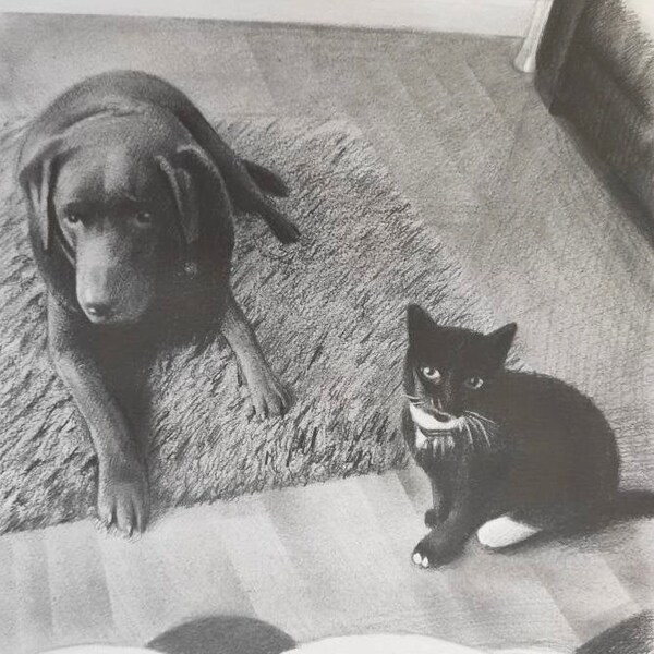 Custom Portrait, Realistic Drawing, Graphite, Friends, Rachel Green ...