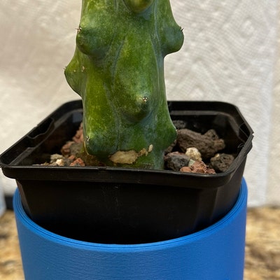 Modern Bubble Planter Pot With Drainage and Saucer Unique - Etsy