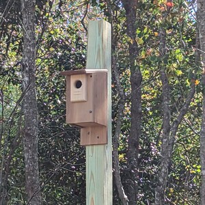 Petterson Style Blue Bird Boxes 2 Boxes - Etsy