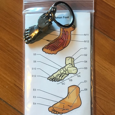 Foot Anatomy Keychain Human Foot Podiatry Keychain Anatomy - Etsy