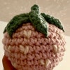 Strawberry Plushie Crochet Pattern Downloadable PDF - Etsy Canada