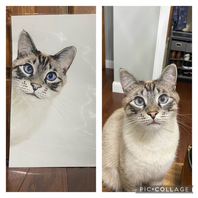 Custom Pet Portrait, Customized Cat Portrait, Cat Portrait Watercolor ...