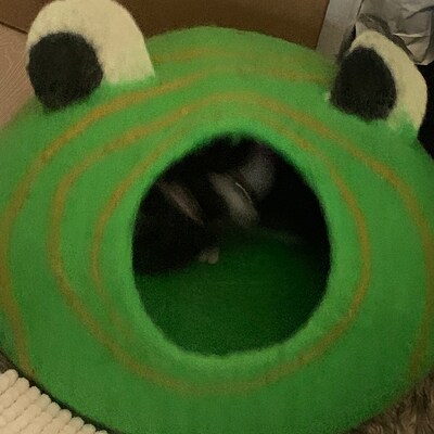 50cm Wool Felt Frog Twirl Cat Bed Cat House Handmade: Fair - Etsy