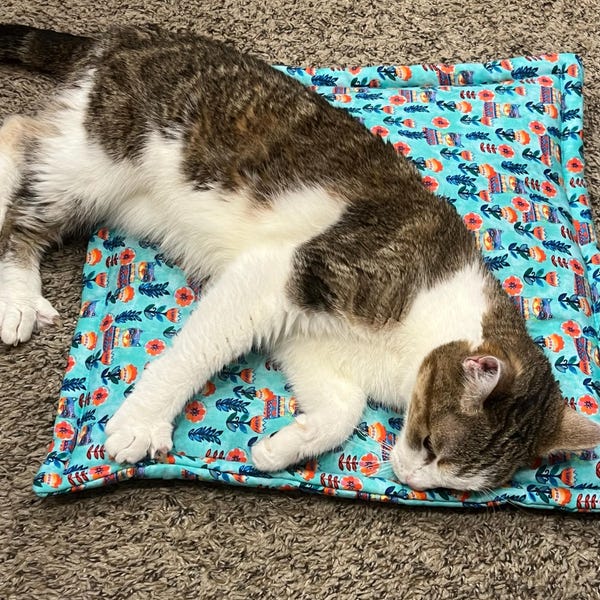 Catnip Filled Cat Mat, in the Garden- 14"x19" - Etsy