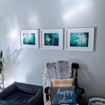 Teal Photography Set Three Nature 11x14, 8x10 Photographs, Dark Aqua ...