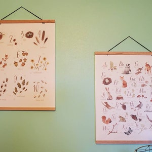 Woodland Alphabet Poster Woodland Alphabet Print Woodland | Etsy