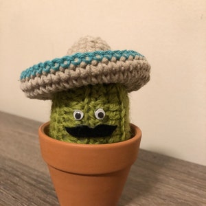 Amigurumi PATTERN Carl the Cactus Crochet Cactus, Sombrero Hat ...