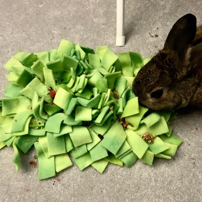 Bunny Rabbit Snuffle Mat, Foraging Blanket, Stimulation Treat Toy ...