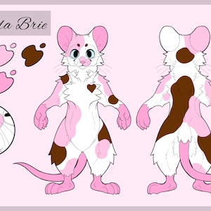 Hedgehog Reference Sheet Base - Etsy