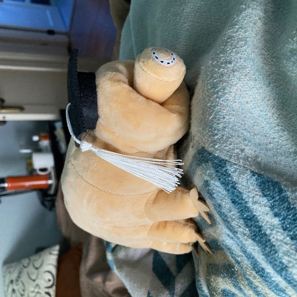 Mini-sized Graduation Cap Cat Hat for Your Cat FREE SHIPPING! Add-on ...