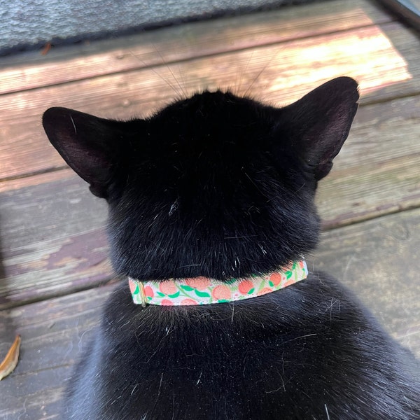 Cat Collar - "just Peachy" - Peaches Cat Collar / Fruit, Orange, Summer ...