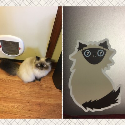 Himalayan Cat Sticker or Magnet Persian Cat Vinyl Weatherproof Decal 3 ...