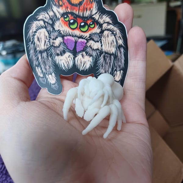 Mini Spooder - Baby Jumping Spider Figure - Iridescent Markings - Tiny ...