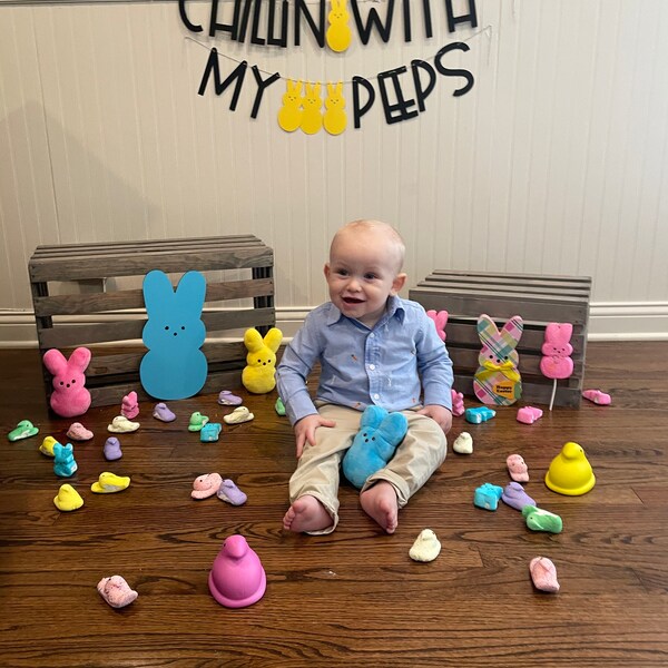 Happy Easter Banner ∙ Chillin With My PEEPS Banner ∙ Happy Easter ...