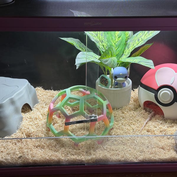 Rainbow Glow-in-dark Snake Climber: Enrichment-decor Arachnid, Snakes ...