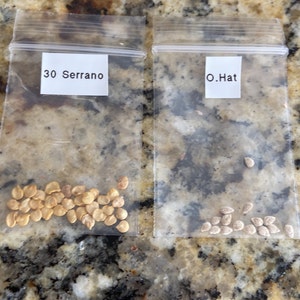 Lemon Drop Pepper 12 Seeds - Etsy