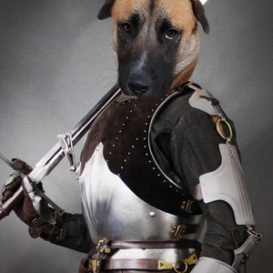 Custom Knight Pet Portrait . Custom Pet Knight Portrait . Classic ...