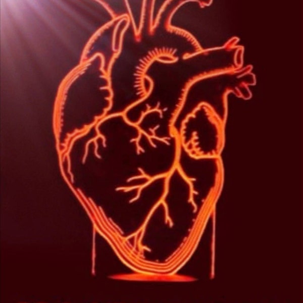 White Lab Coat, Anti-wrinkle Lightweight Doctor Dentist Surgeon ...