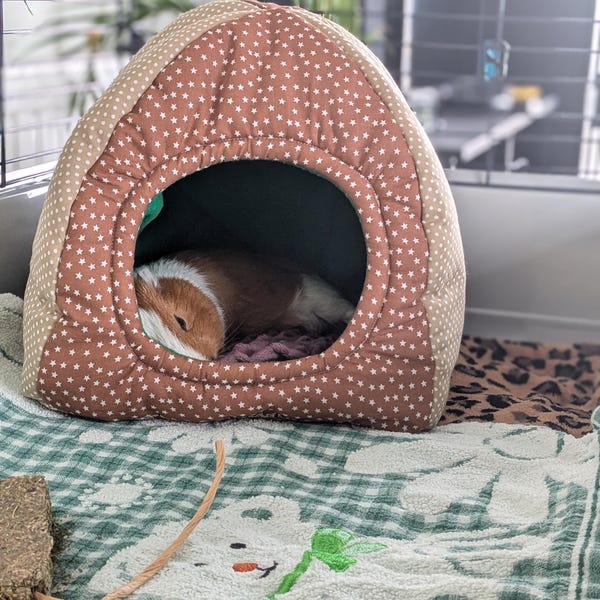 Make Your Own Guinea Pig Hidey Huts: Digital Sewing Pattern and ...