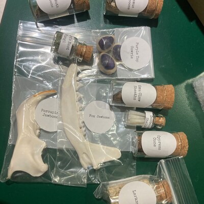 20 Item Curiosities Mystery Box Gift Real Animal Bones Fossils ...