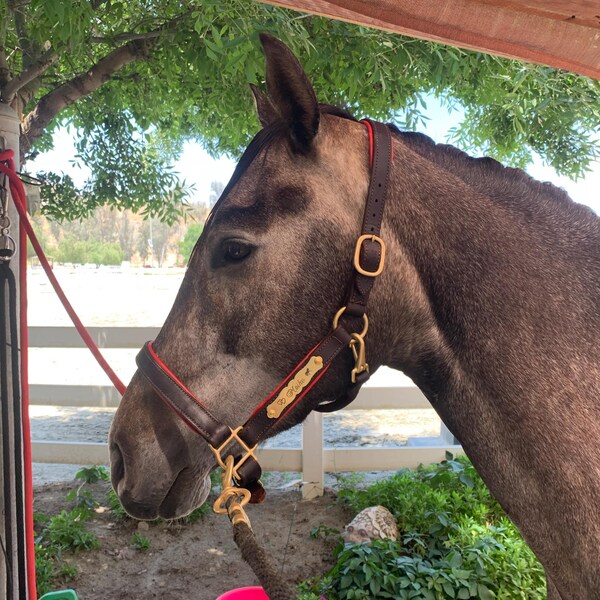 Custom Engraved SILVER Tack, Bridle, Martingale Plate, Horse Tack Plate ...