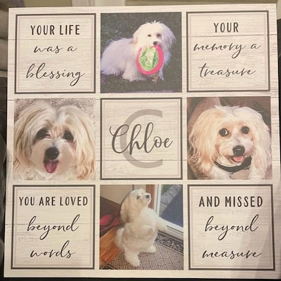 Pet Memorial With Photo Collage, Dog Passing Away Gift, Personalized ...
