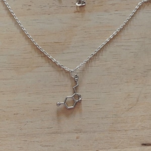 Furry Symbol Phipaw Stainless Steel Pendant on a Silver Plated | Etsy