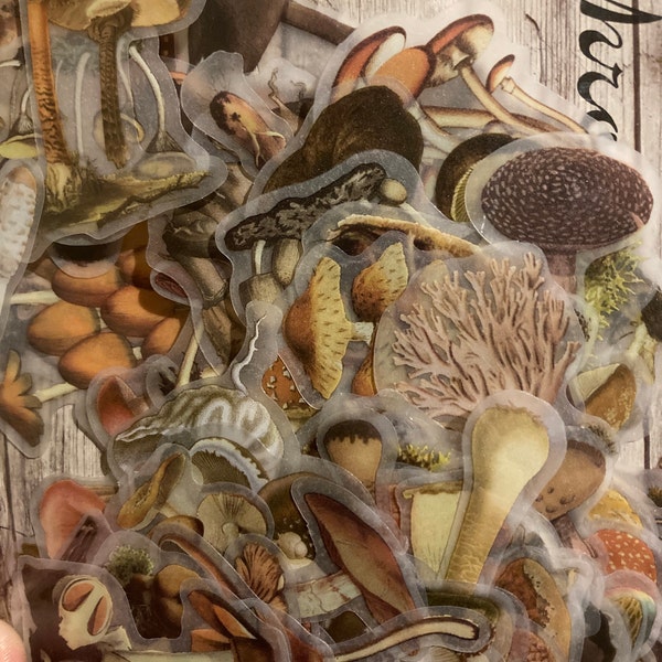 MUSHROOM Stickers / 100 Mushroom Die Cut Stickers / Vellum Mushroom ...