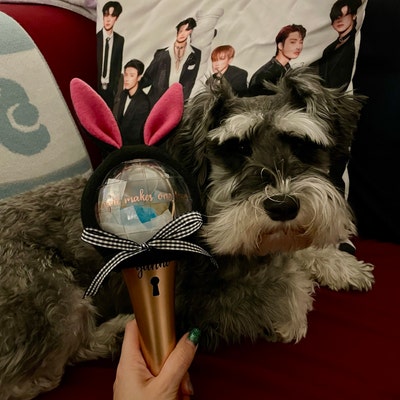 Ateez Aniteez Seonghwa Ddeongbyeoli Lightstick Cover Lightiny Bunny ...