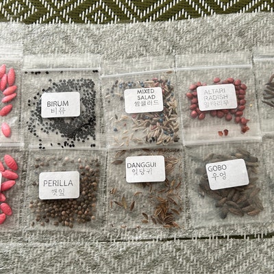 더덕 Seeds 30 Deodeok, Aka Codonopsis Lanceolata or Lanse Asiabell Seeds ...