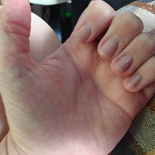 Parrot Polish Pit Viper Yellow Neon Nail Polish - Etsy