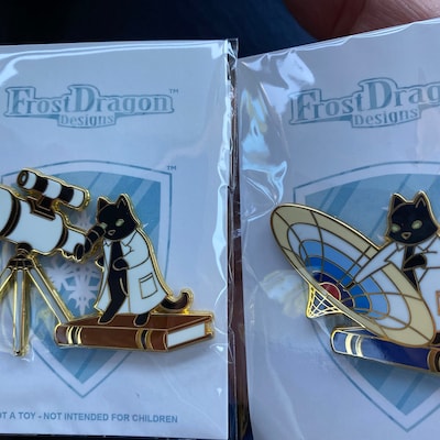 Raccoon With D20 Pin Trash Rolls RPG Pin Hard Enamel Pin - Etsy