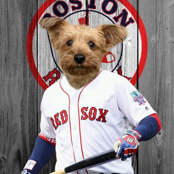 Custom Baseball Pet Portrait: New York Yankees Dog Art - Etsy