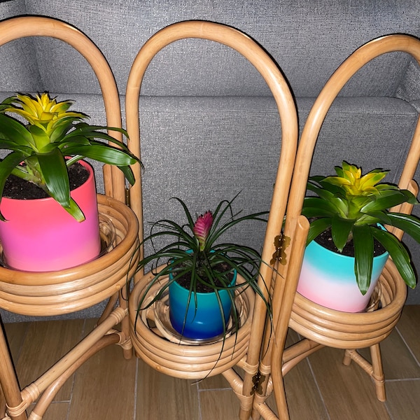 Colorful Gradient Planter - Indoor or Outdoor Planter - Choose Your ...