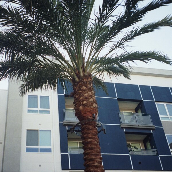 Canon ELPH IXUS • Titanium IX240 • Film Camera - Etsy