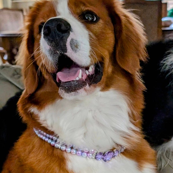 Pink Pearl Necklace for Dogs and Cats With Heart Charm, Dog Pearl ...