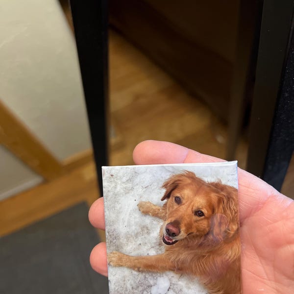 Custom Photo Magnets: Square Keepsake, Personalized Gift - Etsy