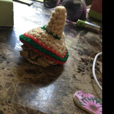 Mariachi Sombrero Turtle/tortoise Costume - Etsy