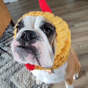 Rooster Chicken Dog Snood Knit Crochet Dog Hat Easter Dog Costume Ear ...