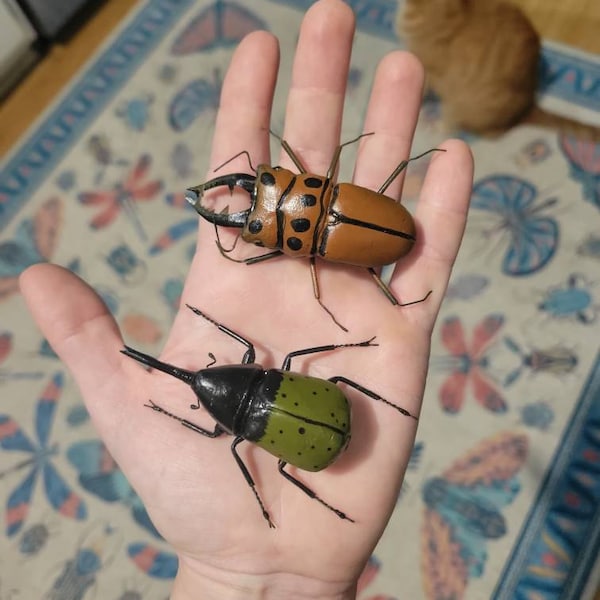 Cicada,4 Colors/1set, Bug Magnet, Handmade Clay Magnet Insect Figurine ...