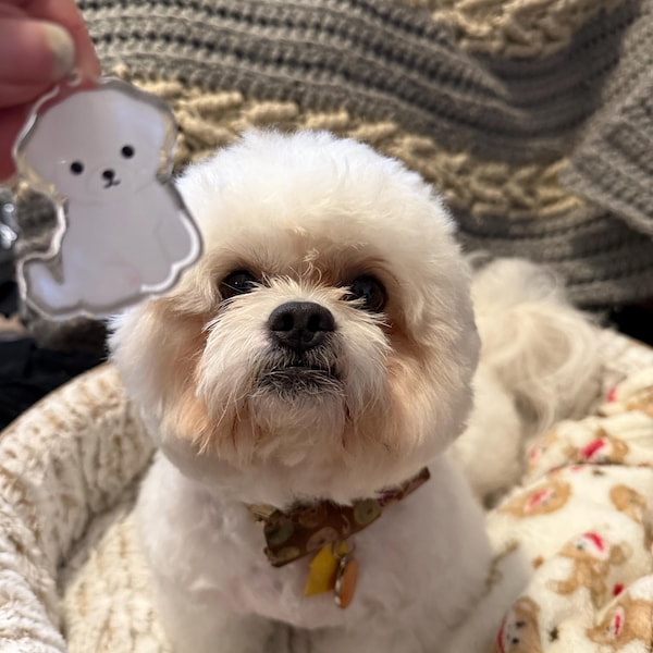 Black Mini Toy Poodle Dog Breed Waterproof Vinyl Sticker | Kawaii Chibi ...