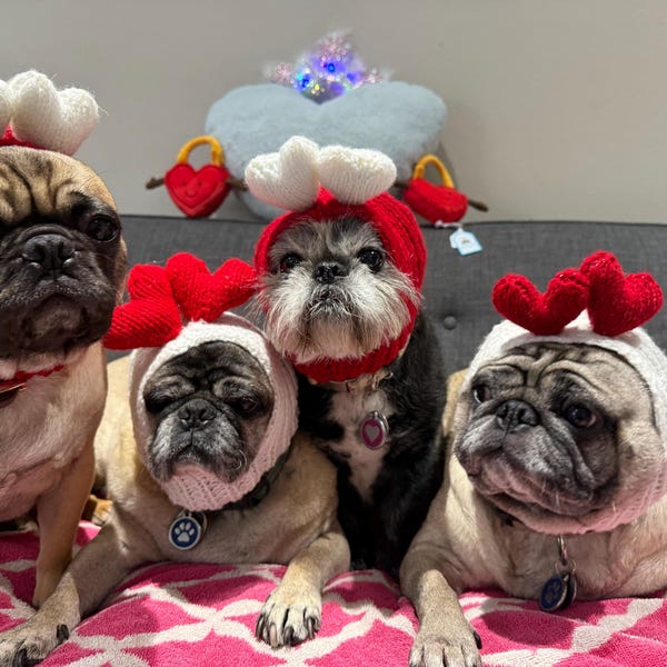 Knit Pug Halloween Costume/ Soft PINK Dinosaur Hat for Dog/ Dino Dog ...