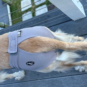 Muzzle for Irish Wolfhound Lightweight Steel Wire Muzzle Coursing ...